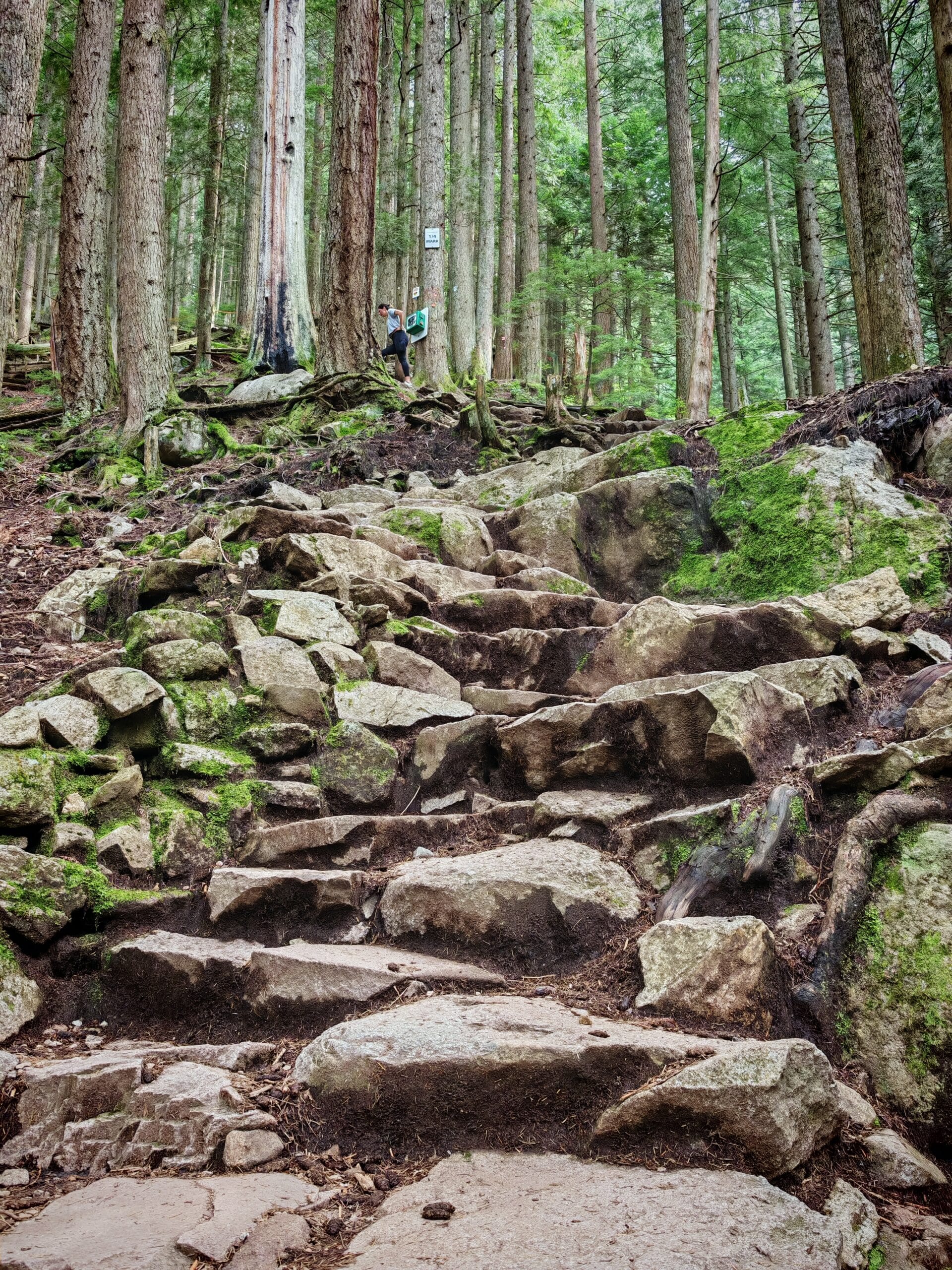 Grouse Grind: The Most Famous Vancouver Hike - Backpacker's Mentality