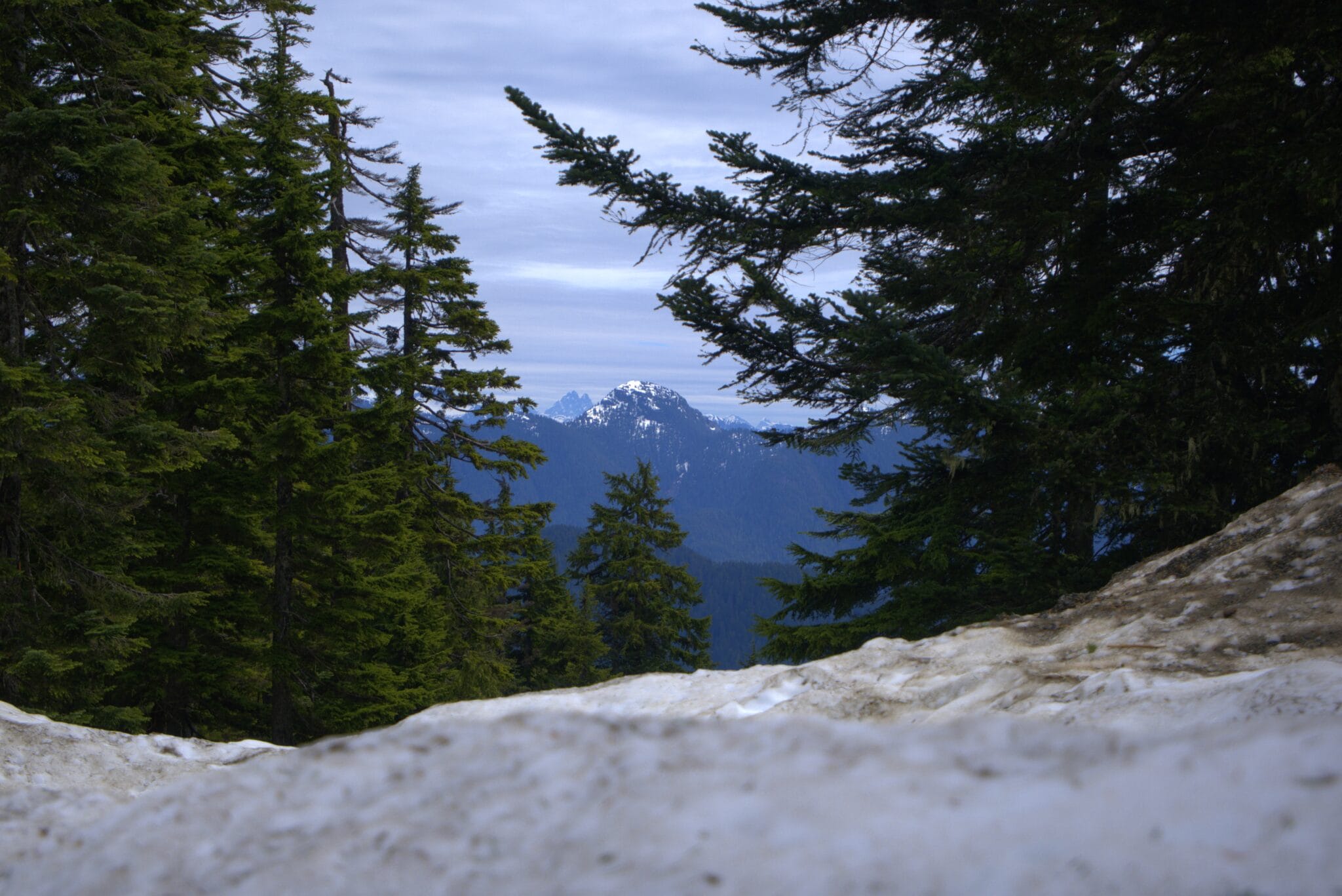Grouse Grind: The Most Famous Vancouver Hike - Backpacker's Mentality